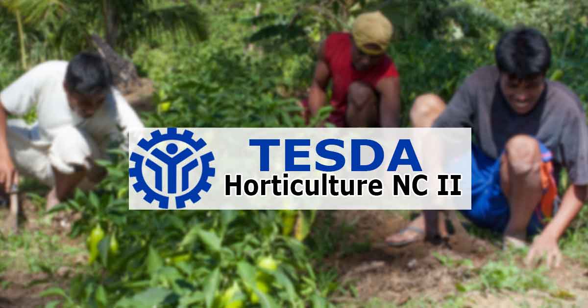 TESDA Horticulture NCII