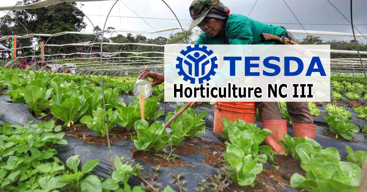 TESDA Horticulture NCIII (Enroll Now)